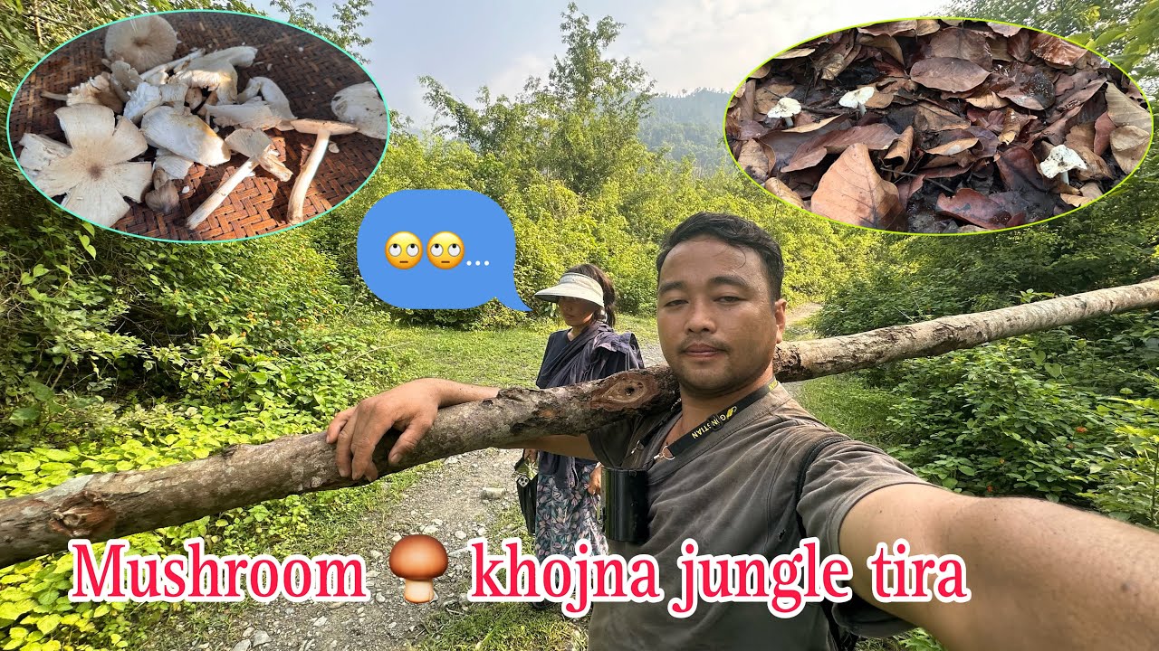 Chyau (mushroom) khojna lagiyo jungle tira dalli sanga - YouTube