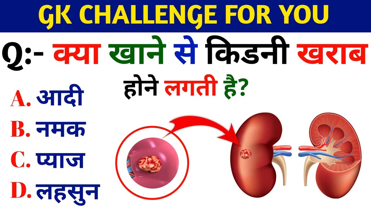 GK Questions And Answers || General Knowledge || GK question || GK ...