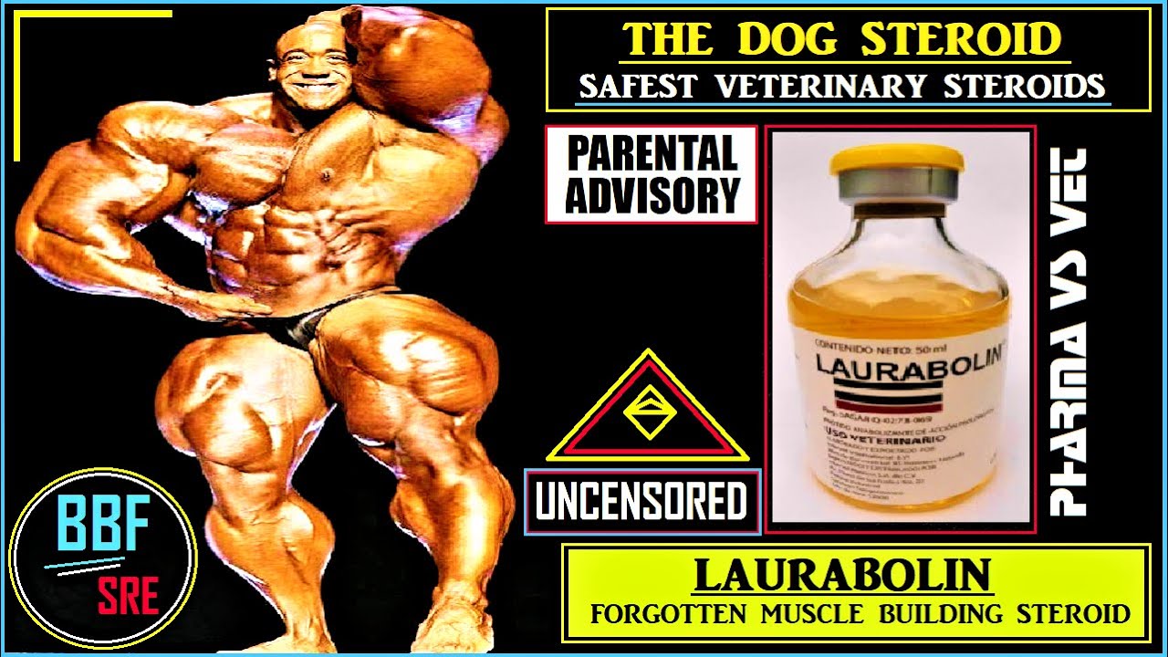 ☣️ Laurabolin Nandrolone Laurate L Veterinary Anabolic Steroid For