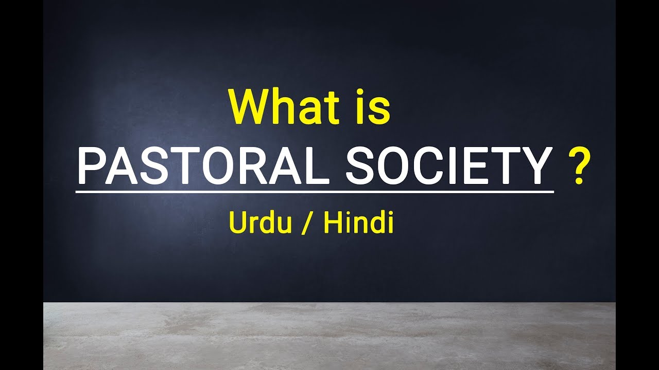 WHAT IS PASTORAL SOCIETY Urdu Hindi YouTube what-is-pastoral-society-urdu-hindi-youtube