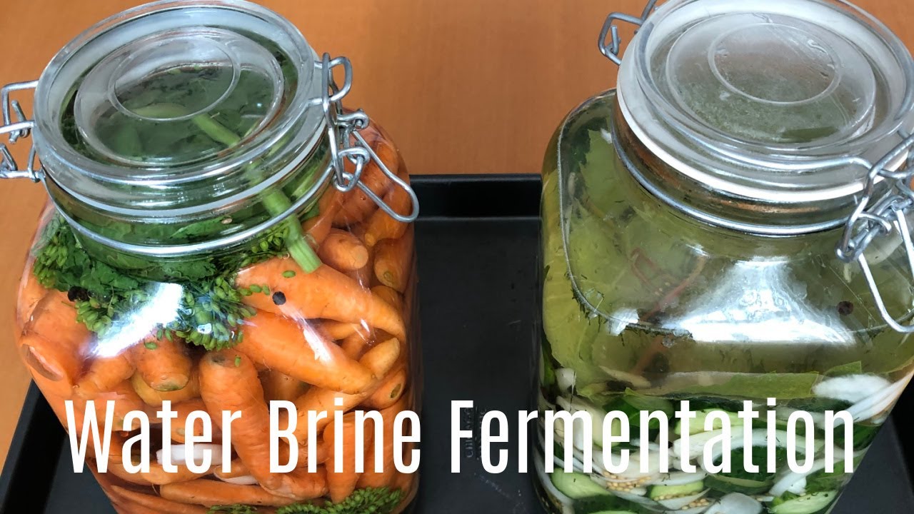 Water Brine Fermentation - Fermented Dilly Carrots - YouTube