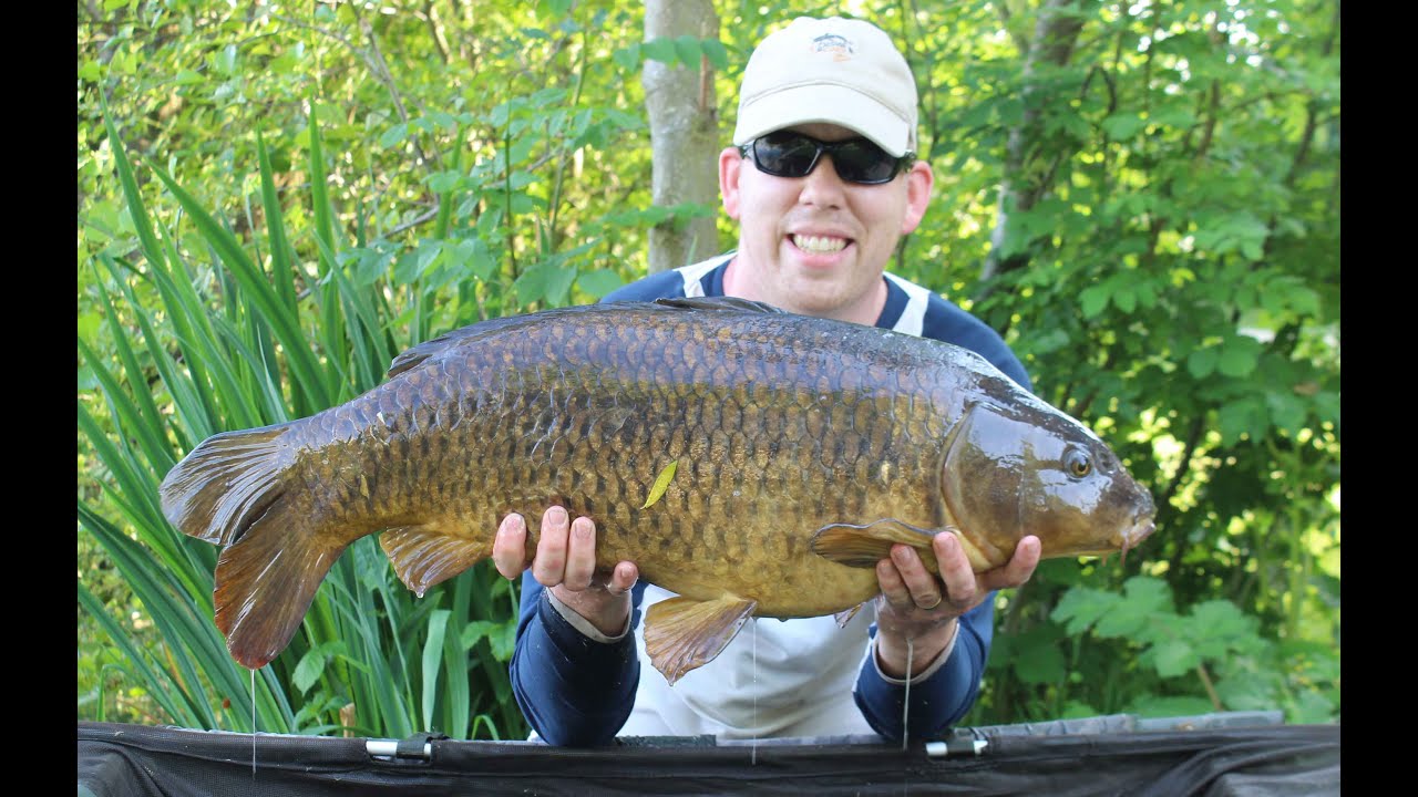 How to catch carp that won't bite - how to fish a zig rig. - YouTube