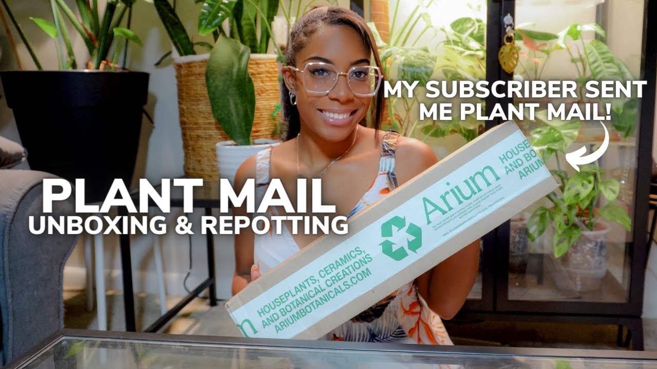 Rare Plant Mail Unboxing & Repot | My Subscriber Sent Me Plant Mail ...