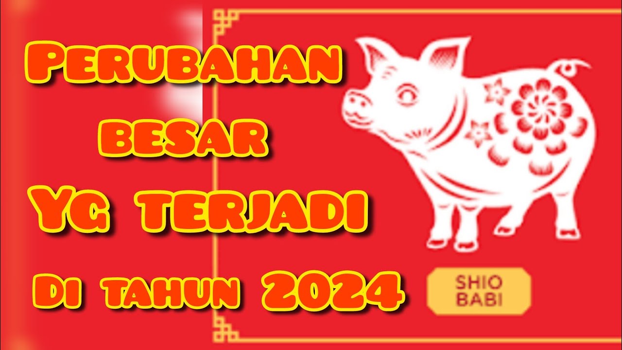 SHIO BABI 🐷🐷 , Perubahan BESAR yg terjadi di th 2024 #shiobabi # ...