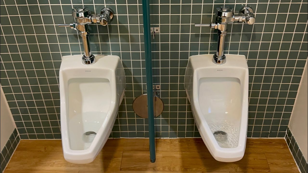 1082: 1992 Kohler Derry Urinals and Kingston Toilets | The Morton ...