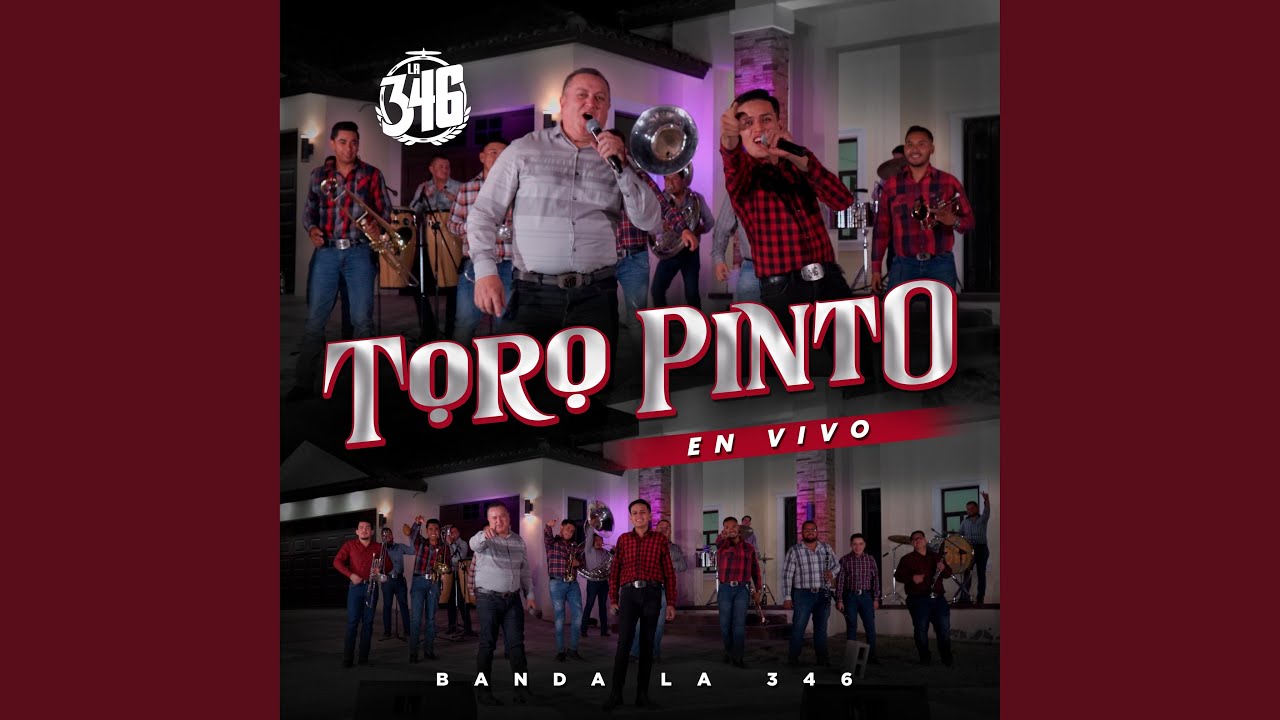 Toro Pinto - YouTube