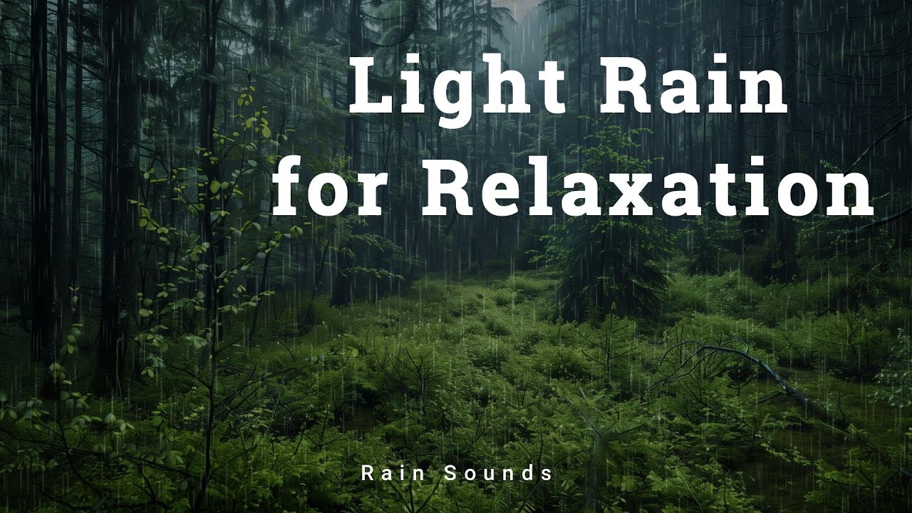 The Sound of Gentle Rain. Light Rain for Relaxation and Peaceful ...