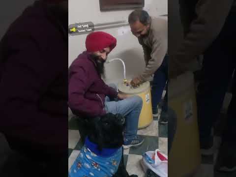 tigar geejar thik karva rehab hair🐕 - YouTube