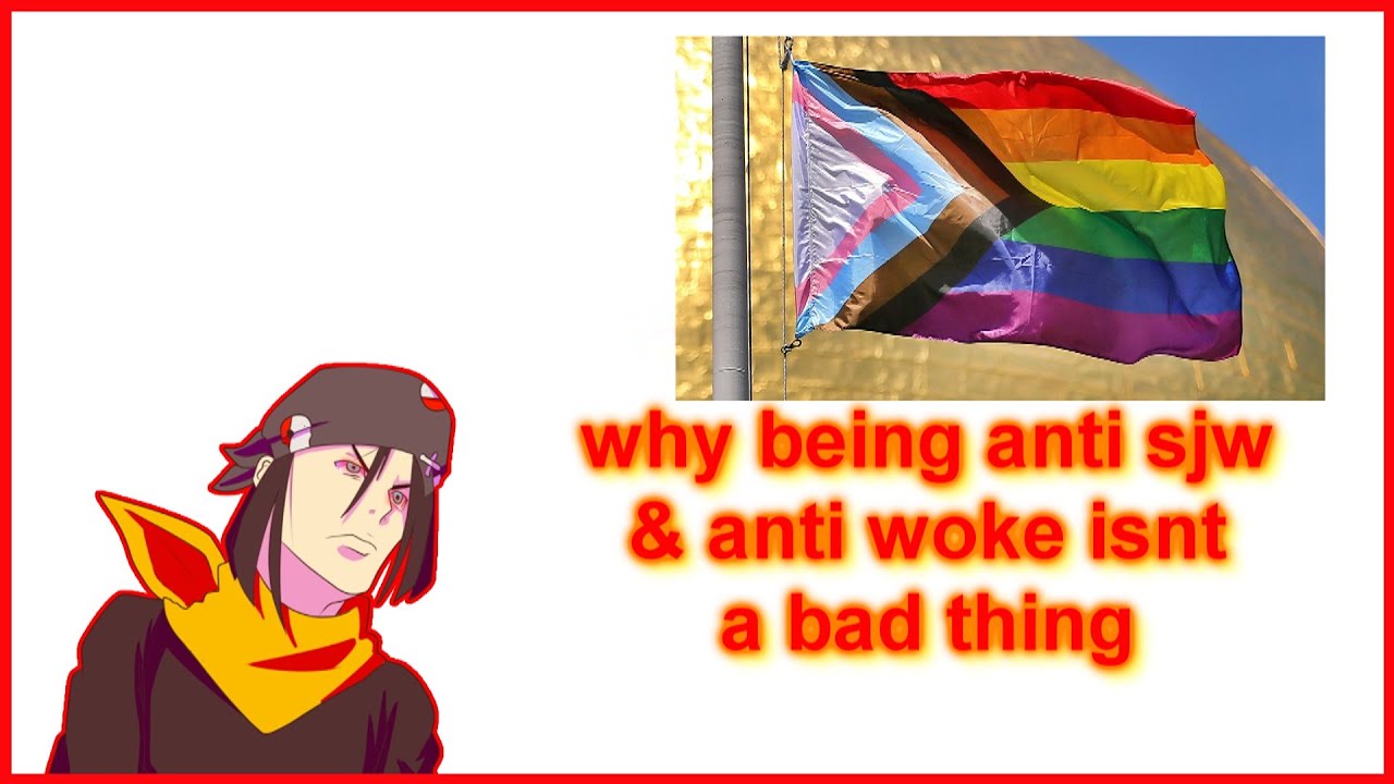 what an anti sjw means to me - YouTube