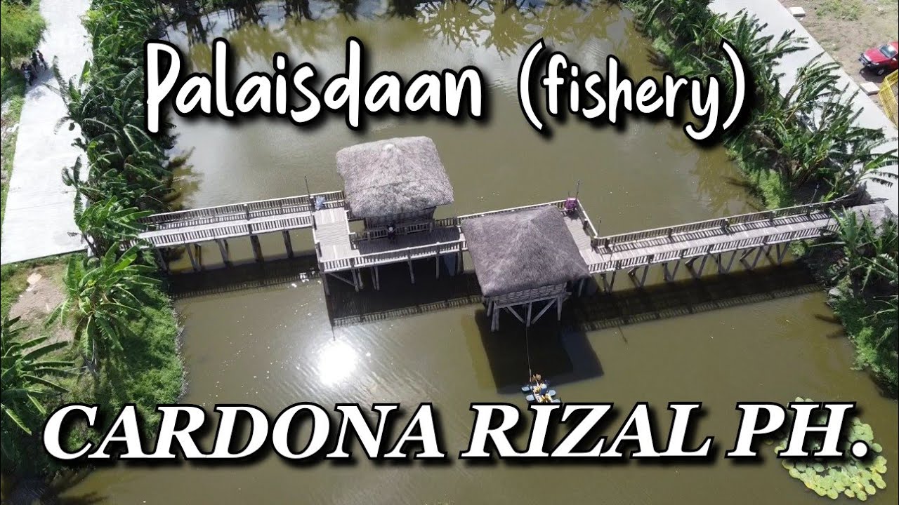 VLOG. Fishery | Palaisdaan at Cardona Rizal. - YouTube