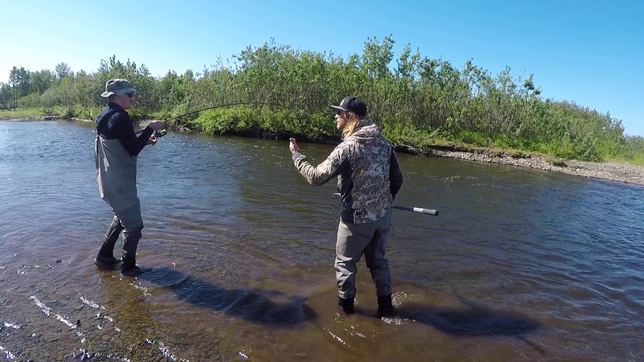 Part 1: Beauty King Salmon on the Kasilof River in Alaska via Tower ...