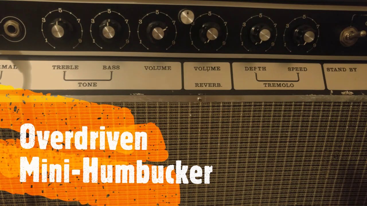 Teisco Checkmate 20 Vintage Tube Amplifier - YouTube