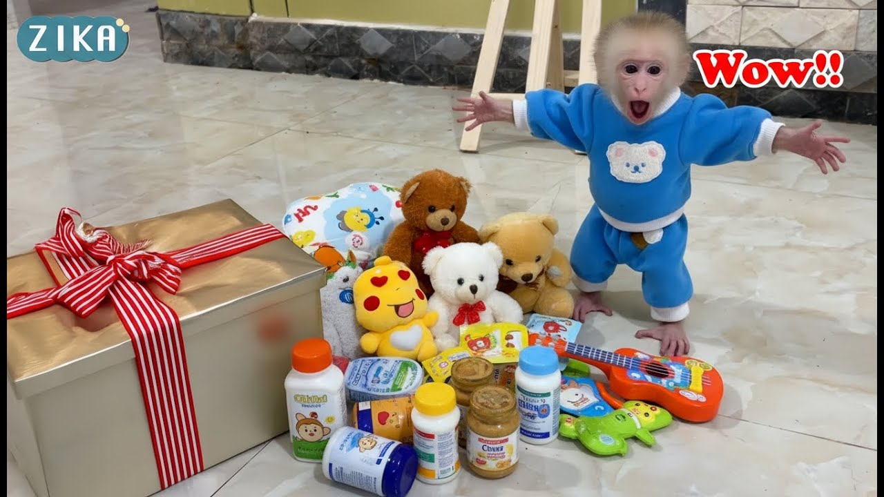 Zika is so happy to receive a special gift from Ms. Niko - YouTube