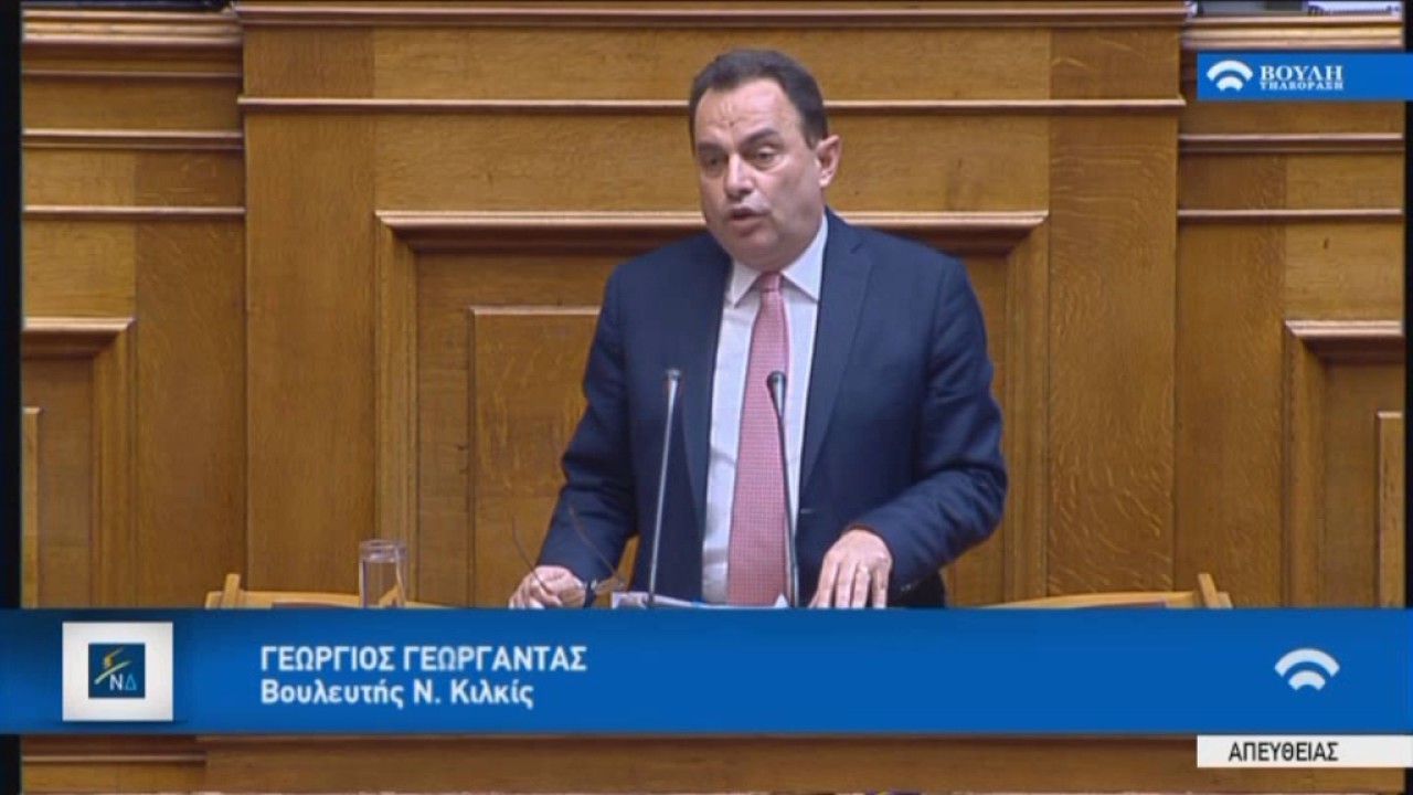11.4.2017 Τοποθέτηση Γ. Γεωργαντά για τους δασικούς χάρτες της περιοχής ...