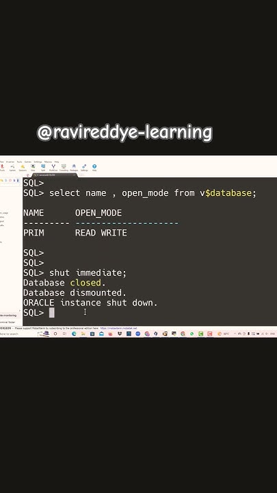 how to shutdown an oracle database shorts 2023 #sqlplus #oracledba #oracle #sql - YouTube