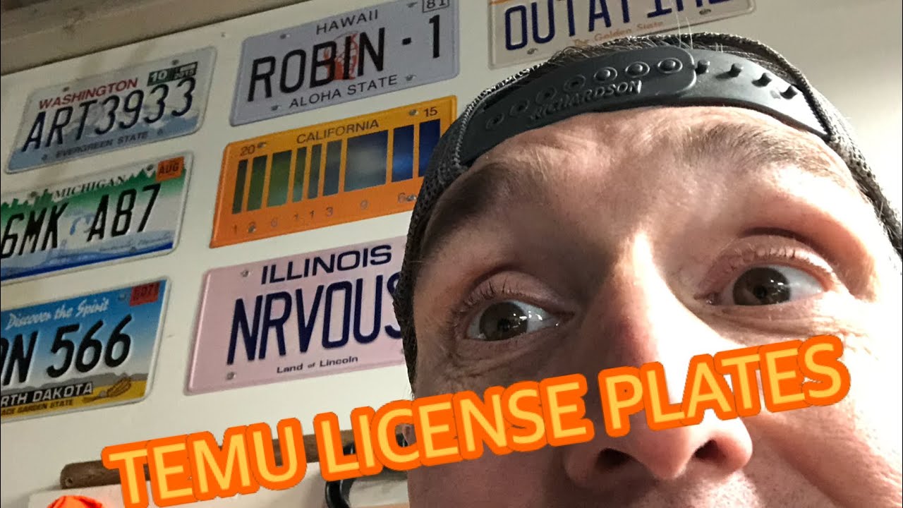 Temu Decorative License Plates Quality Unboxing & Install Back To The ...