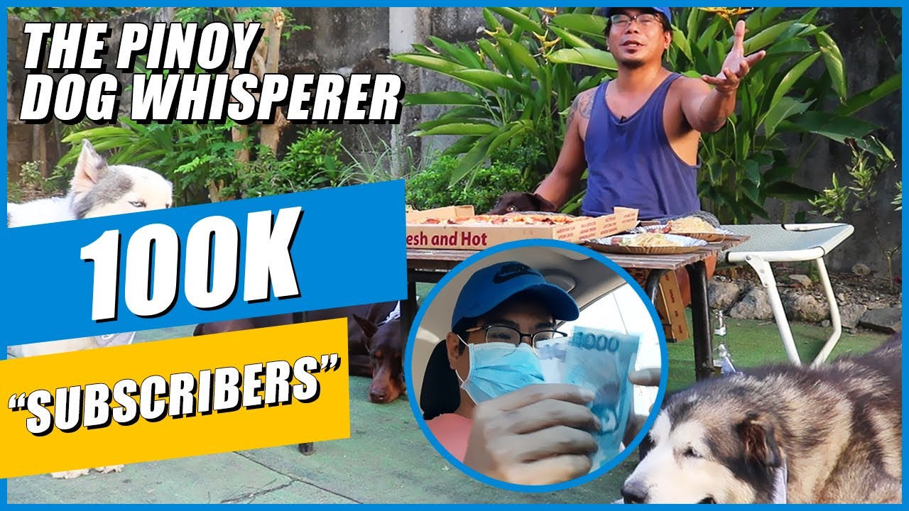 Dogs celebrate 100K SUBSCRIBERS!!! - YouTube