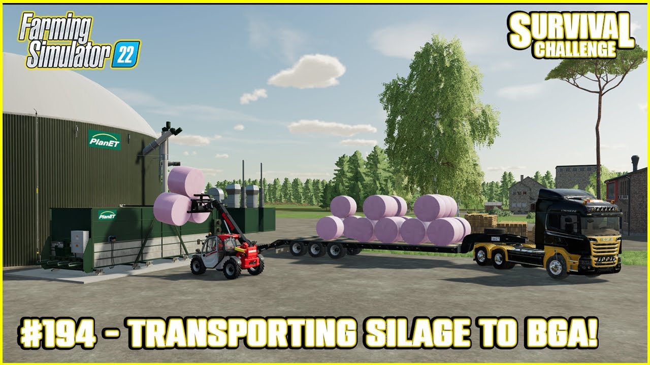 Transporting Silage Bales To BgA, Planting Oat &SunFlower - #194 - # ...