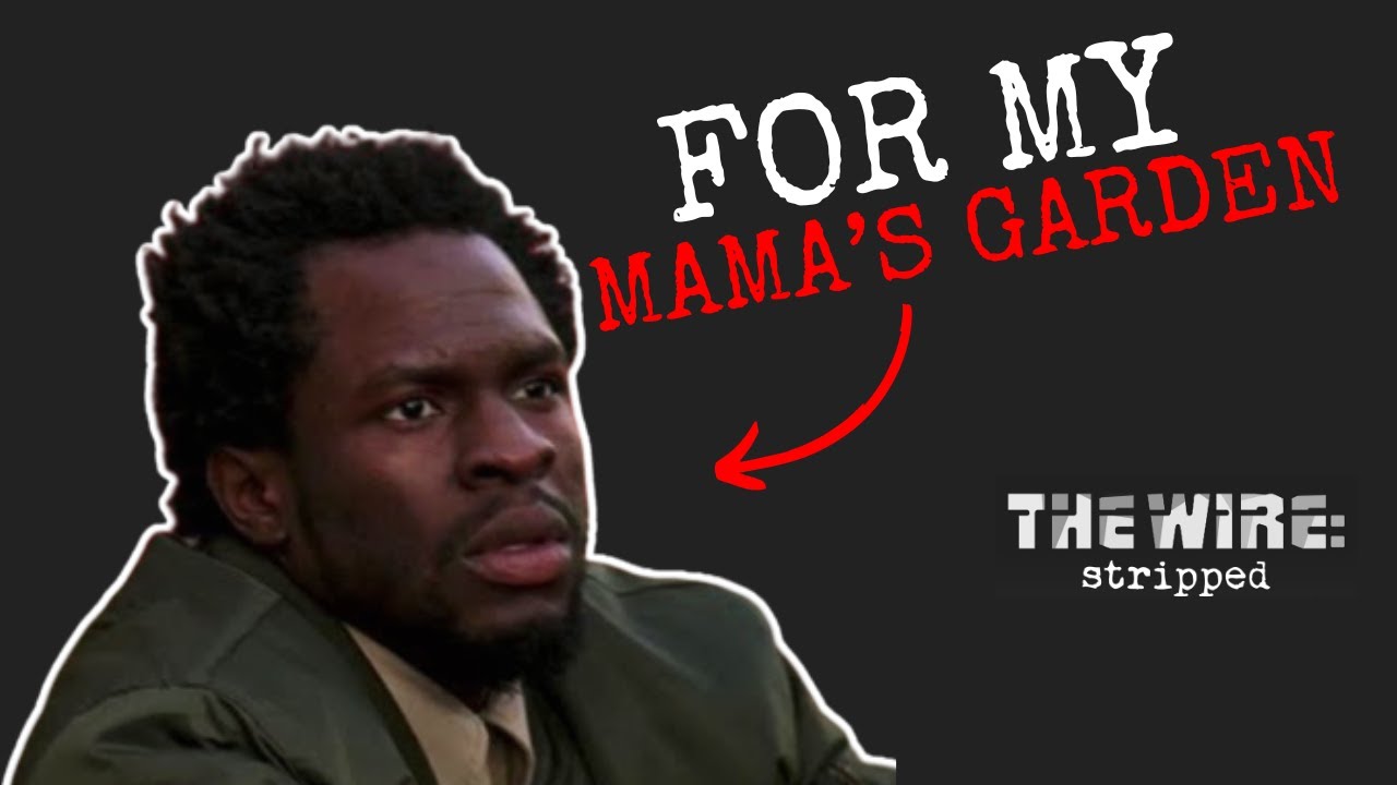 Herc wants his Camera! (The Wire) - YouTube