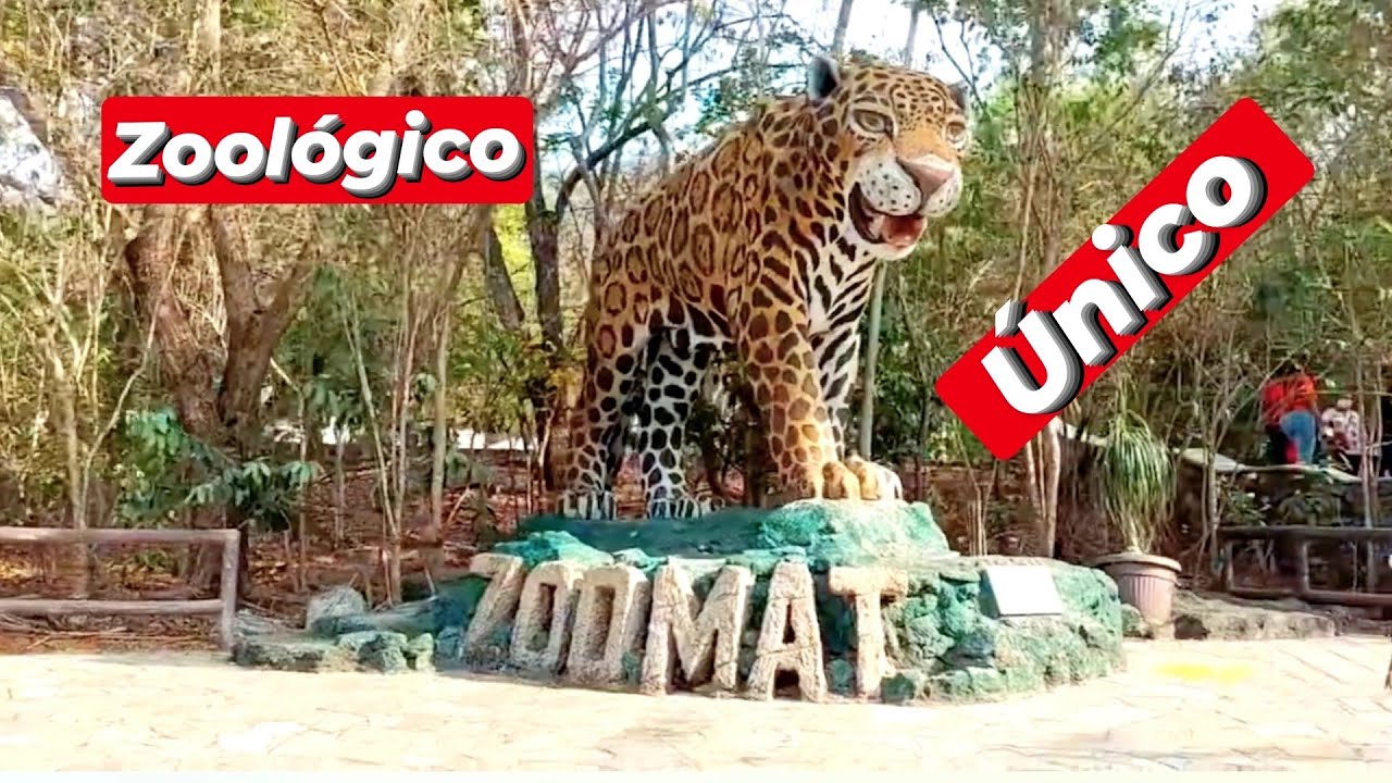ZOOMAT🔻¿Qué hacer en TUXTLA GUTIÉRREZ 1 día con niños o fin de semana ...