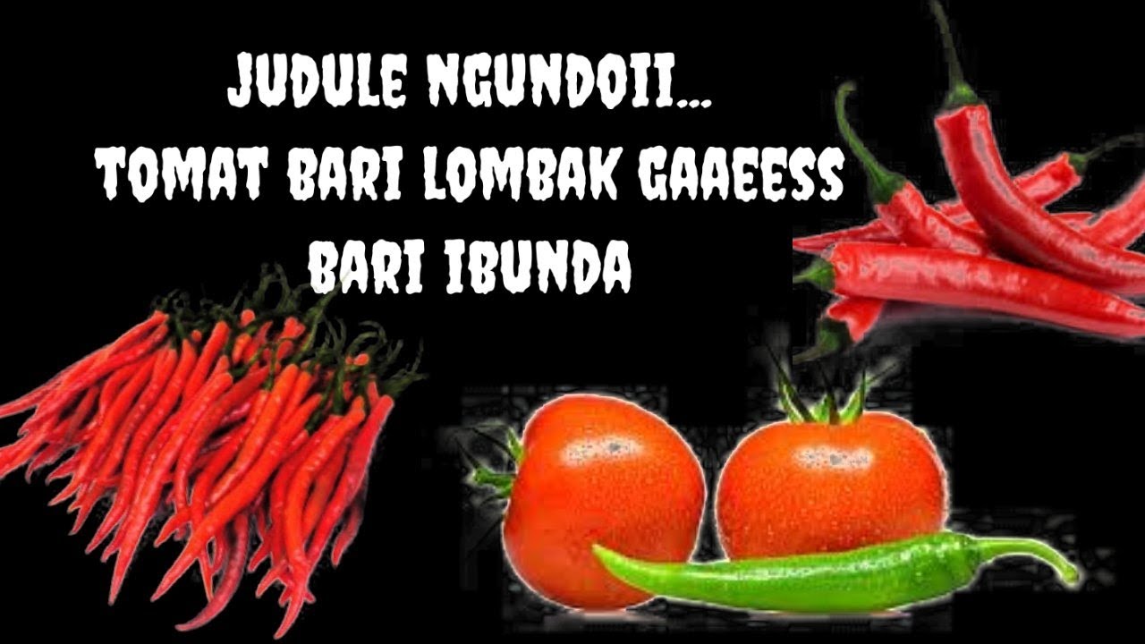 panen tomat Lombok gaaeess.... - YouTube
