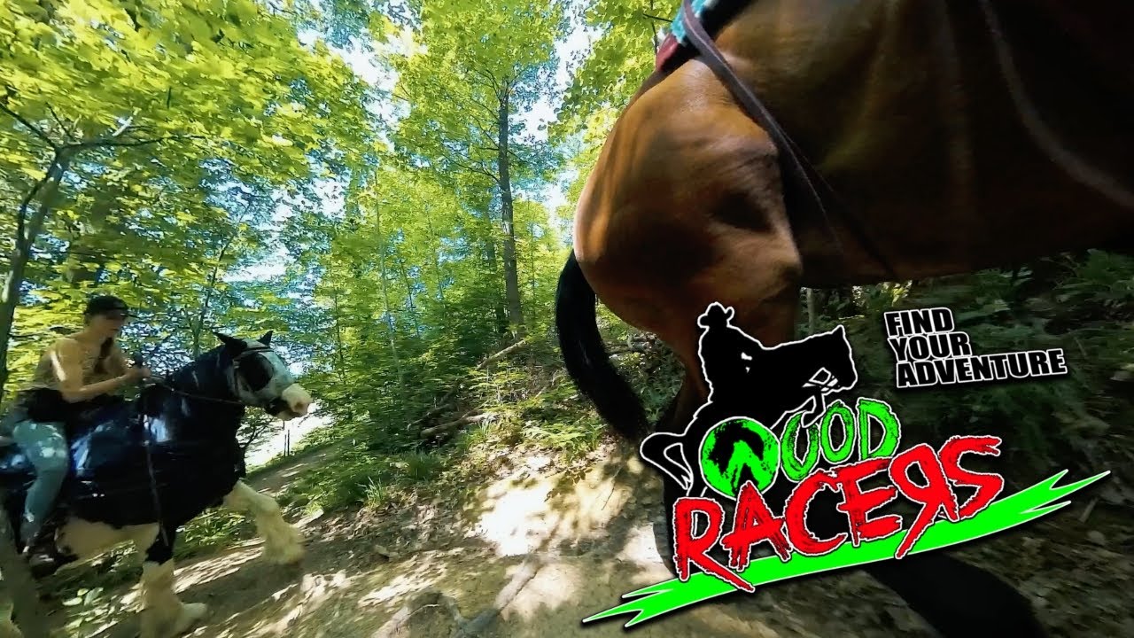 Trail Ride Dürnau - Horseback Extreme Trail mit Tinker und Quarter ...
