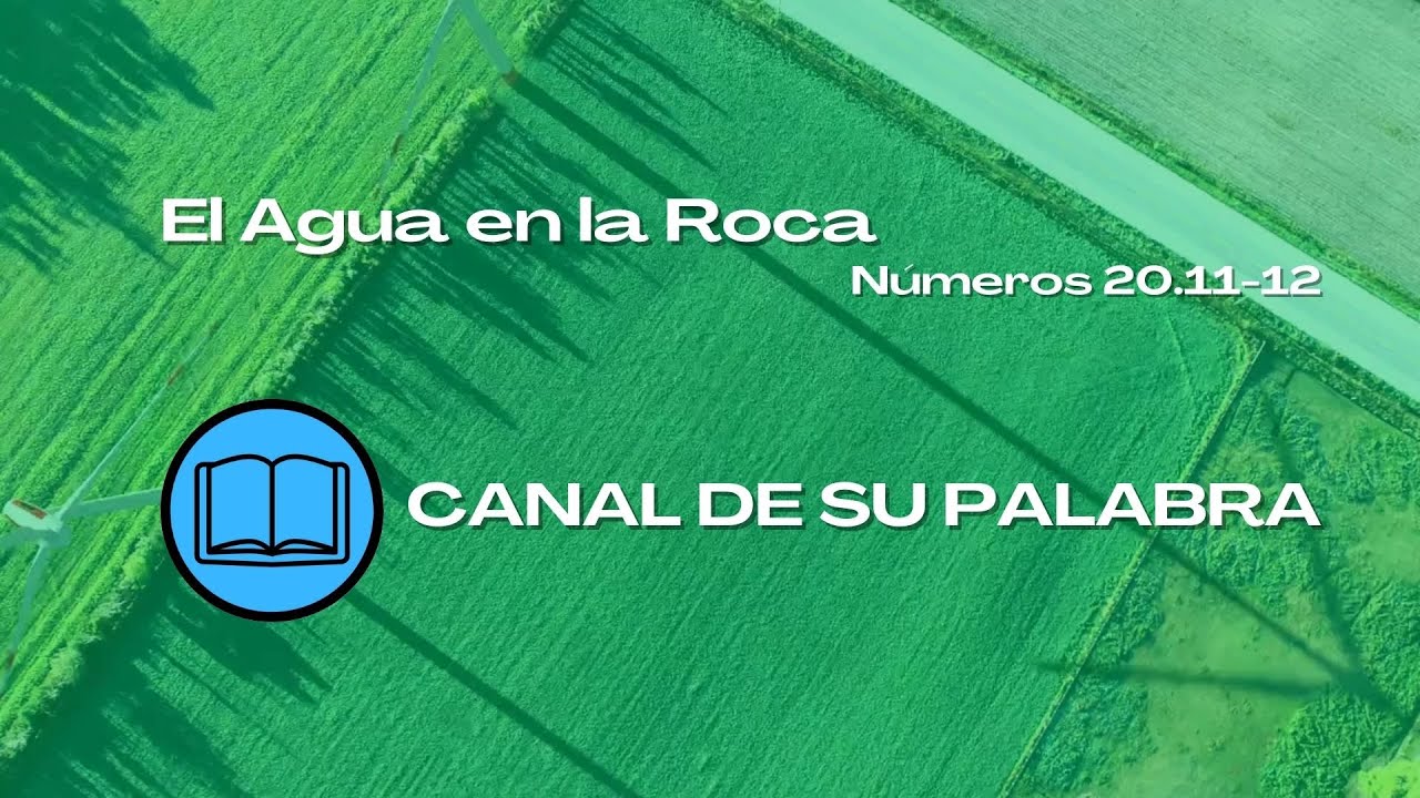 Números, Capítulo 20 11 al 12 NTV - YouTube