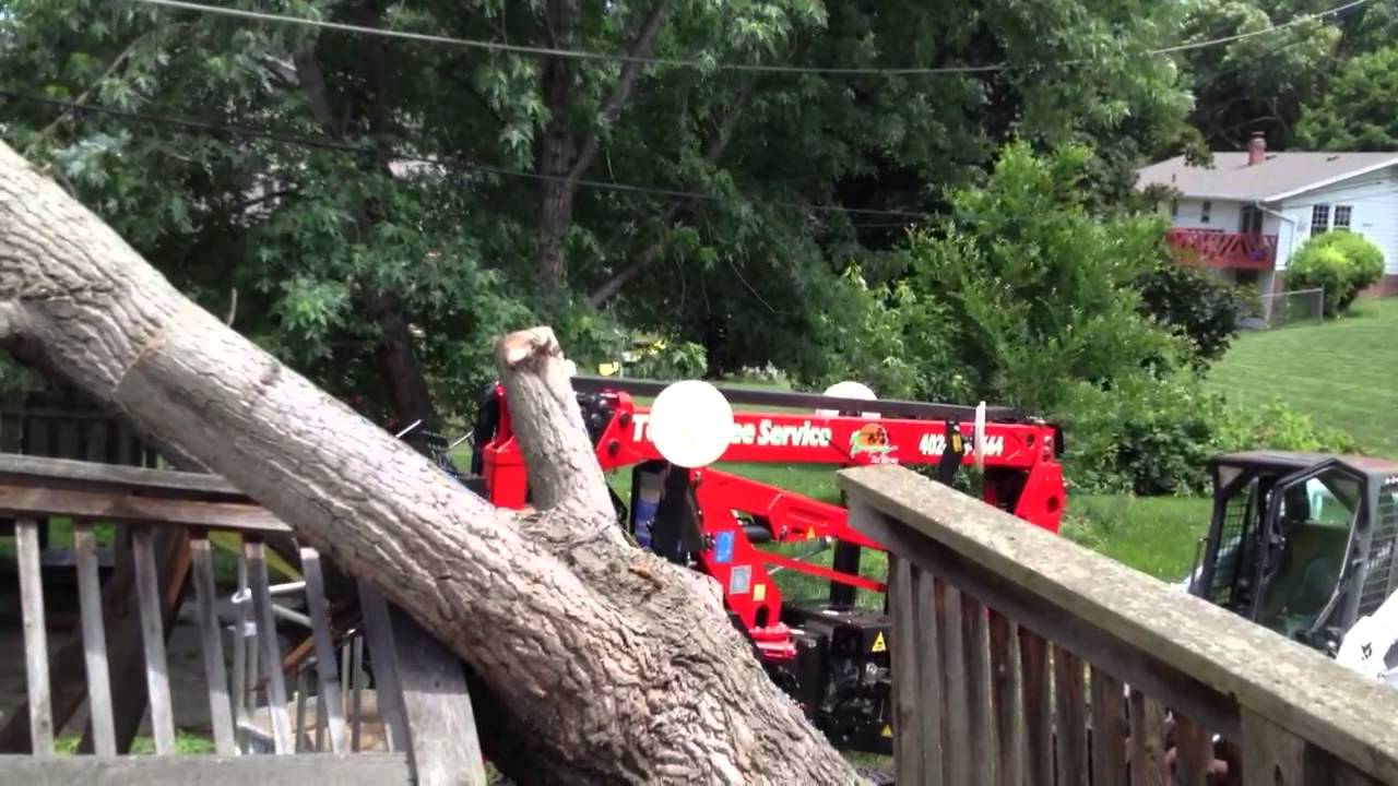 Mini Cherry Picker (Torpy Tree Pt. 11) - YouTube