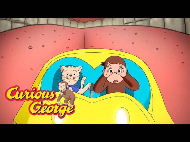 How the Body Works 🐵 Curious George 🐵 Kids Cartoon 🐵 Kids Movies ...