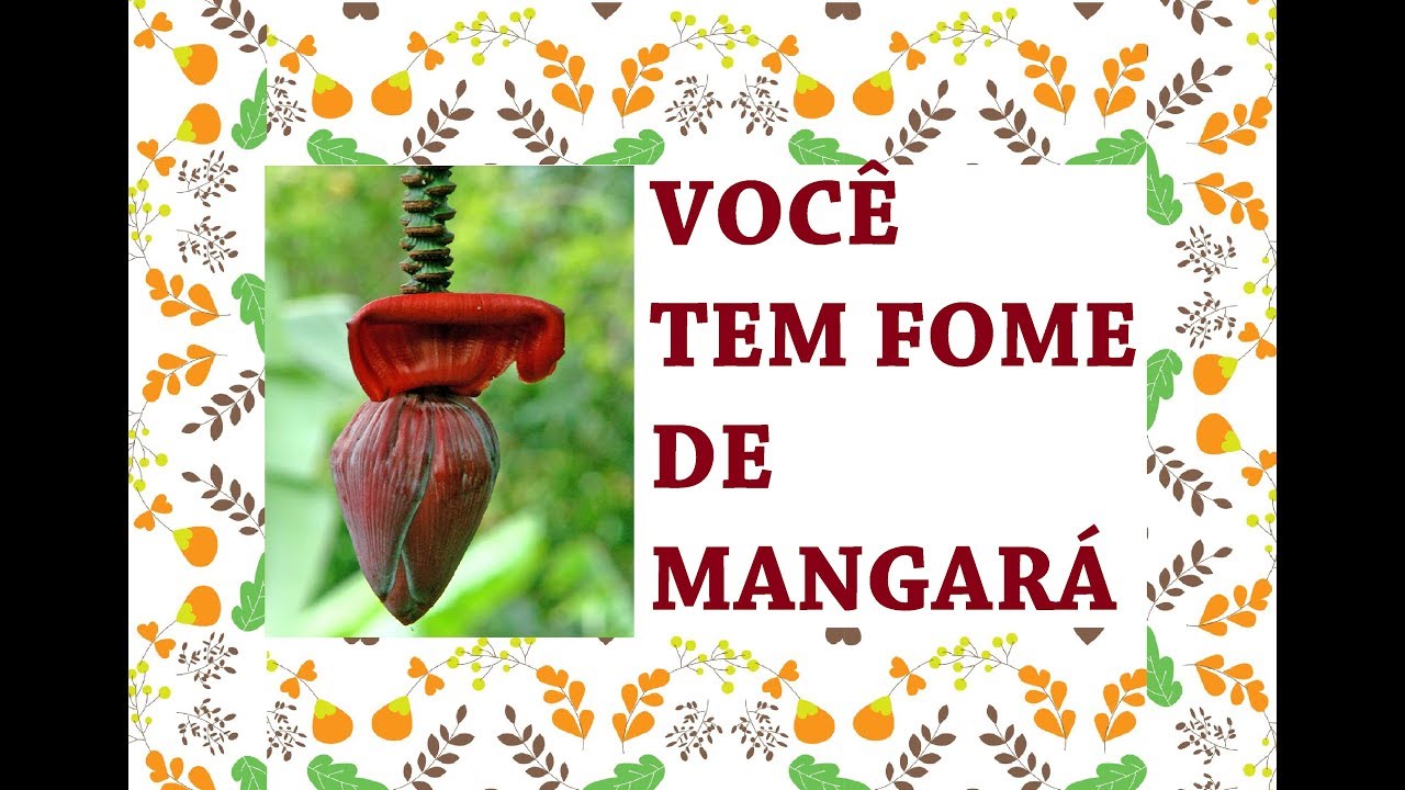 Mangará - FUSÃO ORGÂNICA - YouTube