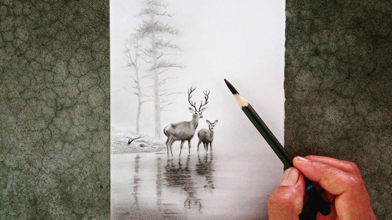 Pencil drawing landscape scenery with stag animal. - YouTube