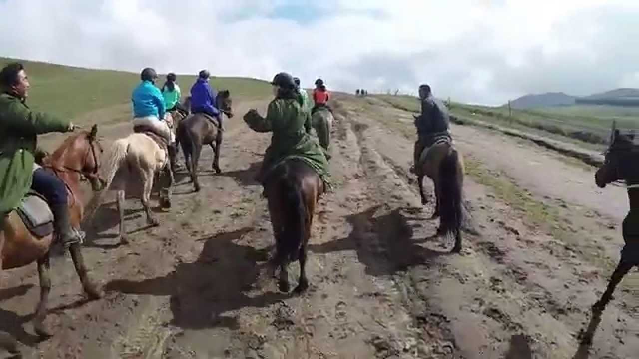 빠상초원 승마 트레킹 - Horse back riding on Pasang Field in China - YouTube