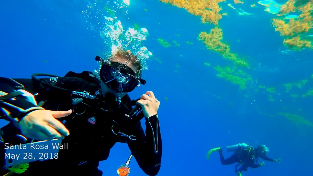 Santa Rosa Wall Cozumel - YouTube