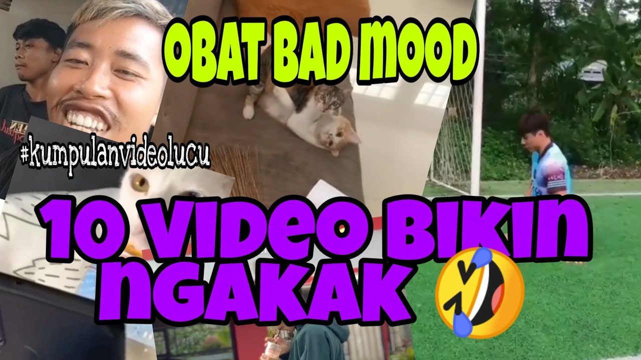 Kumpulan video lucu bikin ngakak ‼️ 10 video lucu - YouTube