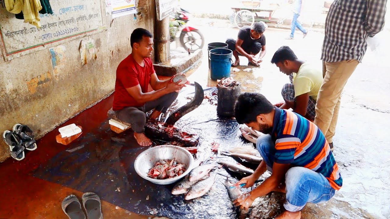 Amazing Live Fish Cutting Skills In The Fish Market | Fillet Fishing ...
