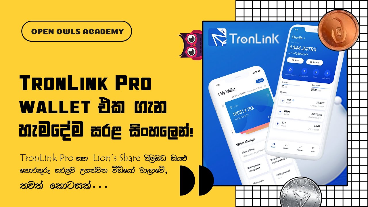 Everything you should know about TronLink Pro Wallet 2021 | Sinhala ...