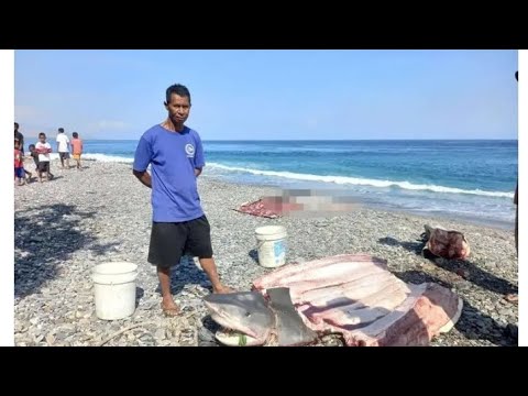 Colleen Monfore's body parts were found inside the stomach of a shark 🦈 ...