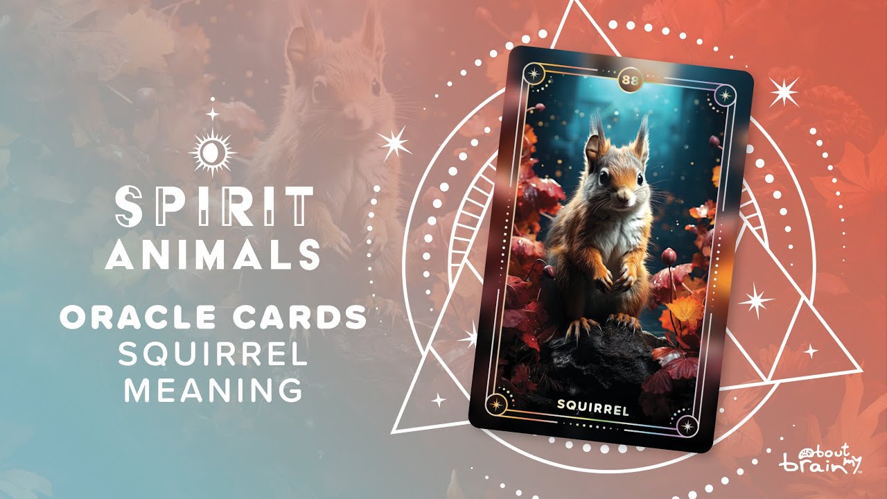 Squirrel Spirit Animal | Symbolism & Meaning Explained - YouTube