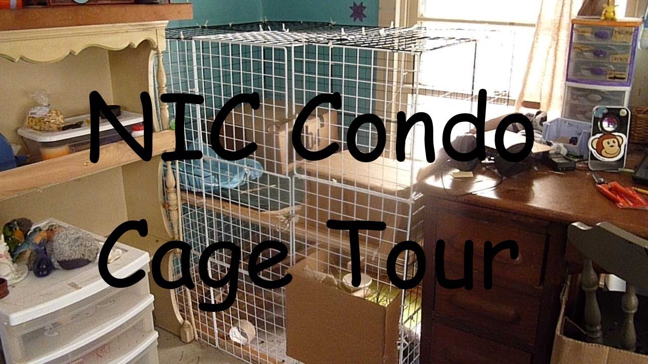 NIC Condo Cage Tour - YouTube