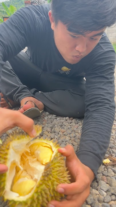 Bukak durian montong berkulit hitam #doniartawan - YouTube