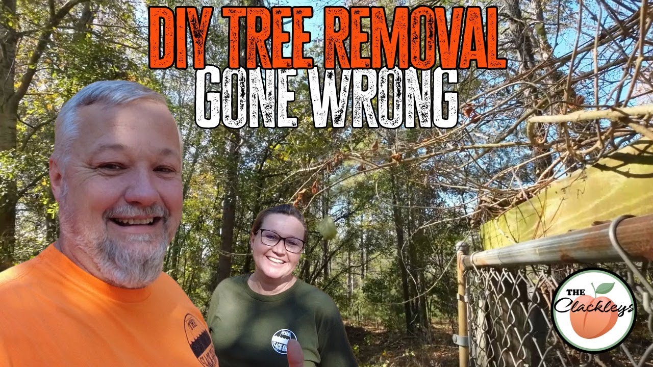 DIY tree removal gone wrong.. - YouTube