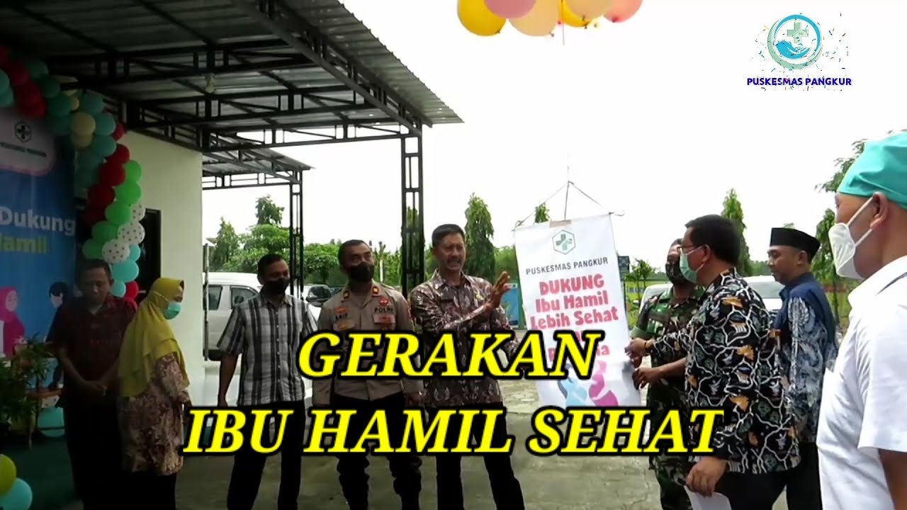 GERAKAN BUMIL SEHAT - YouTube