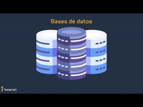Nexus Backend tutoriales - Tablas Dinámicas - YouTube