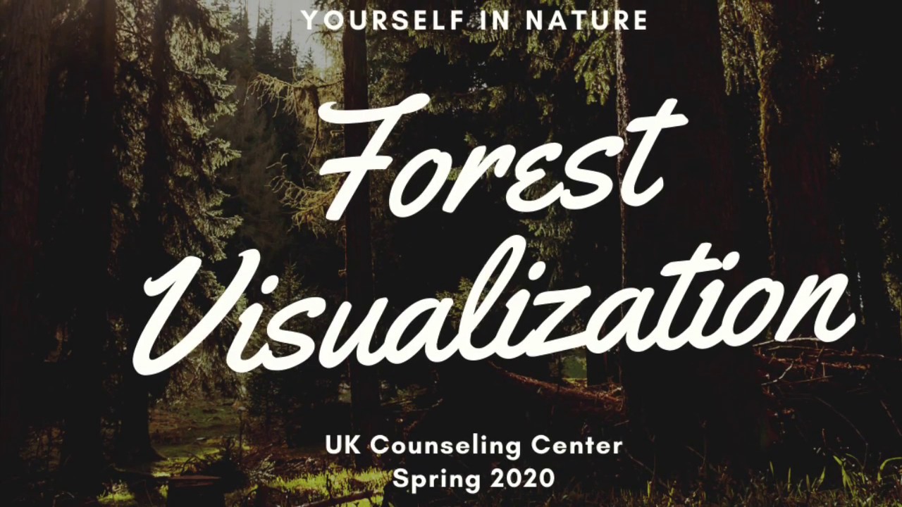 Forest visualization - YouTube