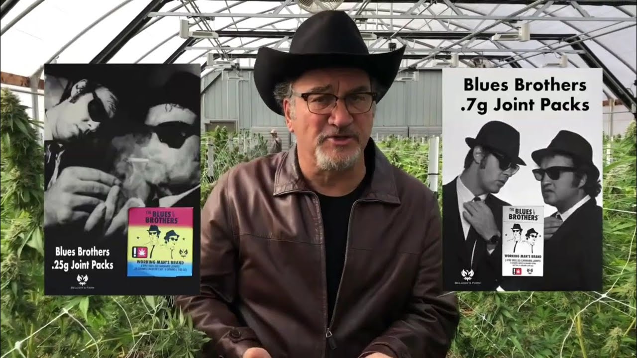 Jim Belushi in Growing Belushi - YouTube