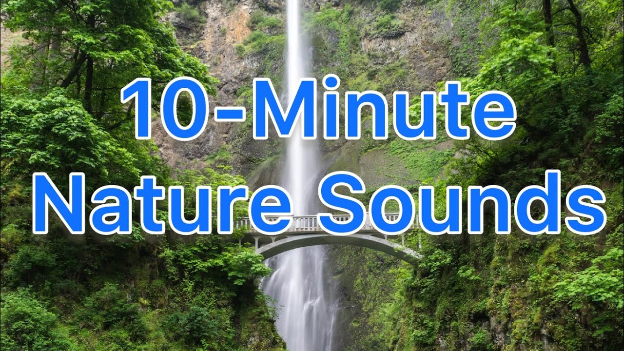 10 Minutes Of Relaxing Nature Sounds For Mindfulness Healing