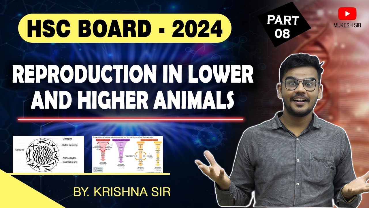 Reproduction in lower and higher animals part 08 | basics | MHT CET ...