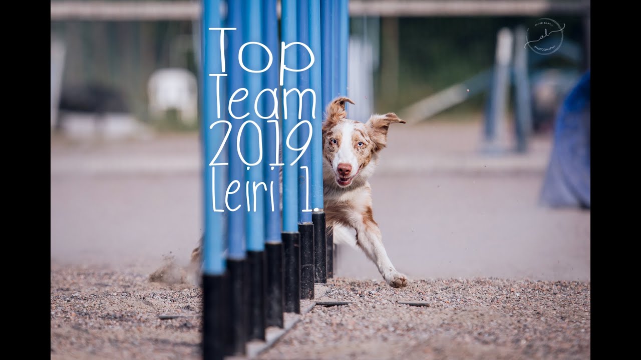 TOP TEAM 2019 1. leiri | Leia & Anne - YouTube