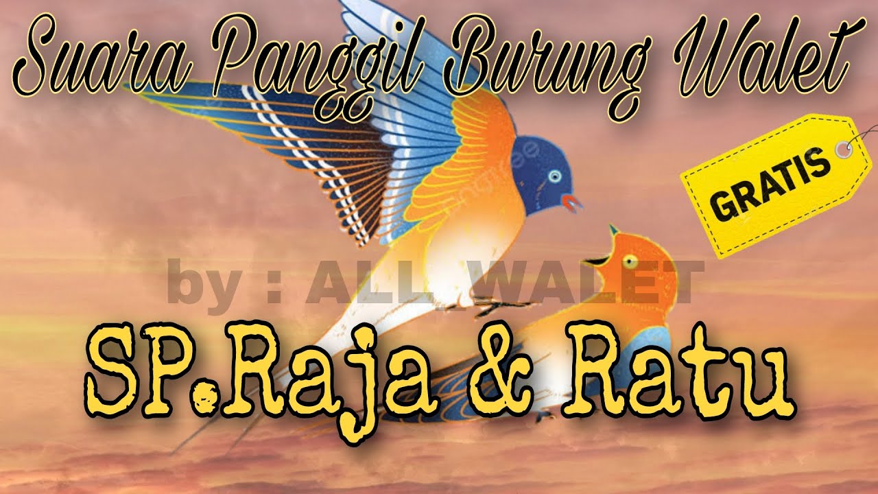 (GRATIS) SUARA PANGGIL BURUNG WALET DOWNLOAD SP.RAJA & RATU - YouTube