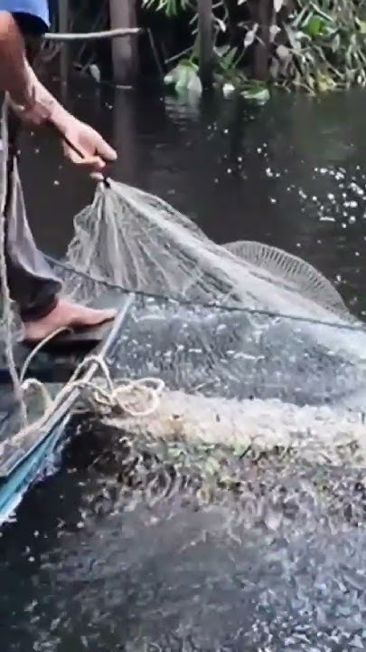 How to throw a Cast net; Easiest To way it Perfectly Every time# shorts - YouTube